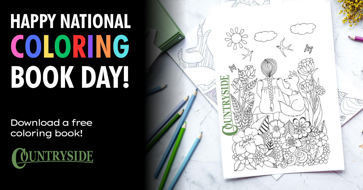 Countryside Coloring Book